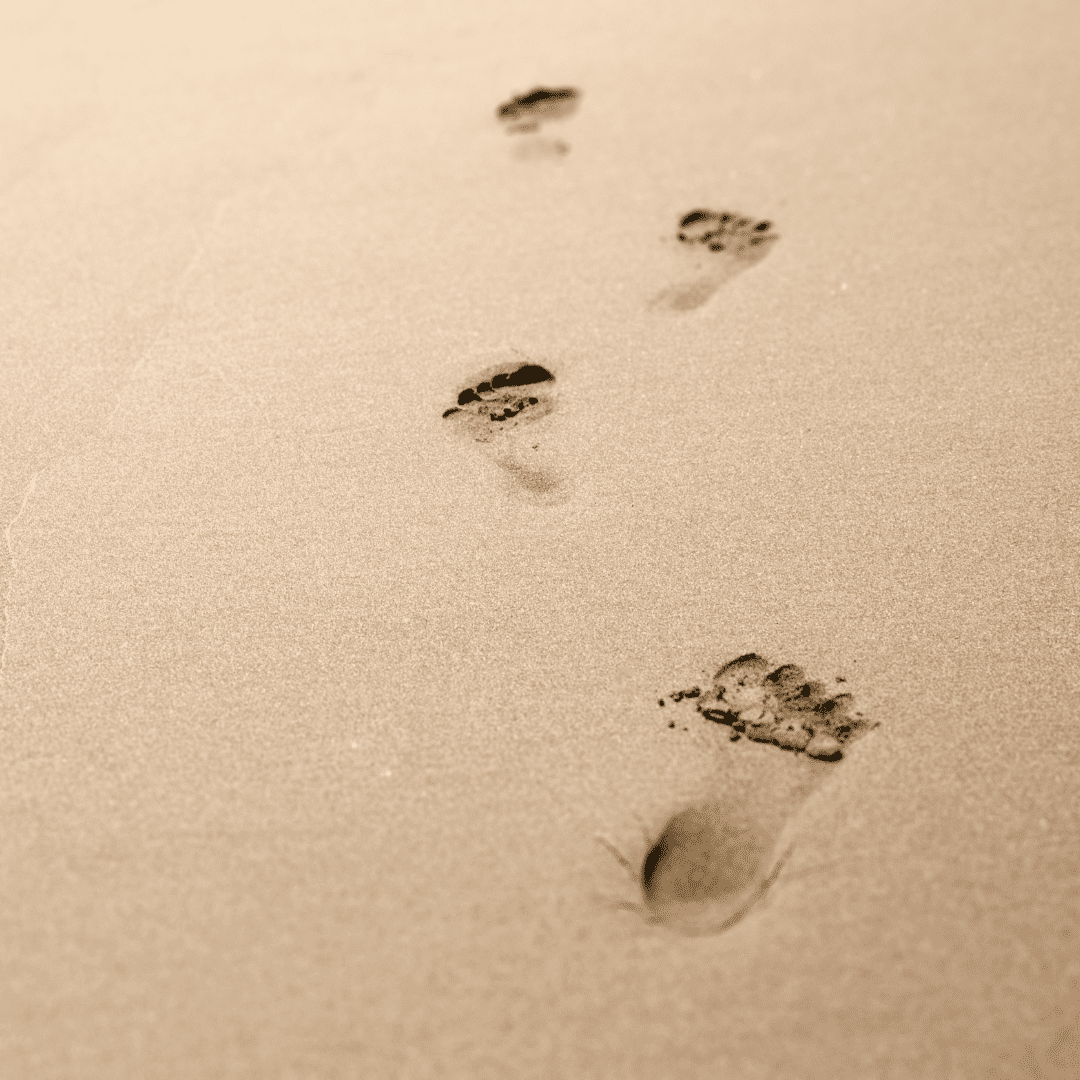 Make Footprints, Not Monuments : Earlham School of Religion